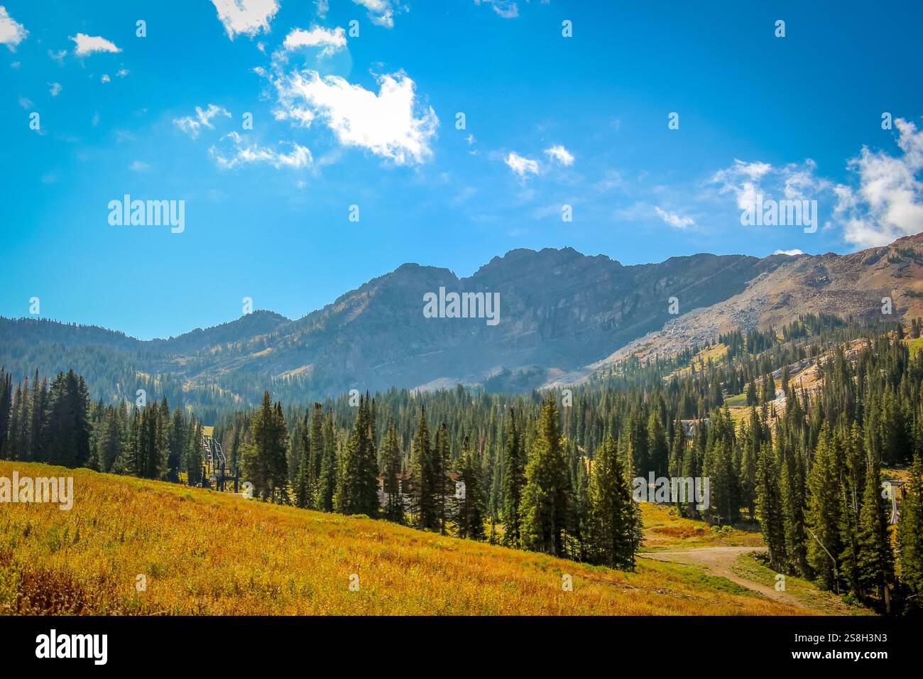 Mountains and sloping valley of trees Stock Photo - Alamy