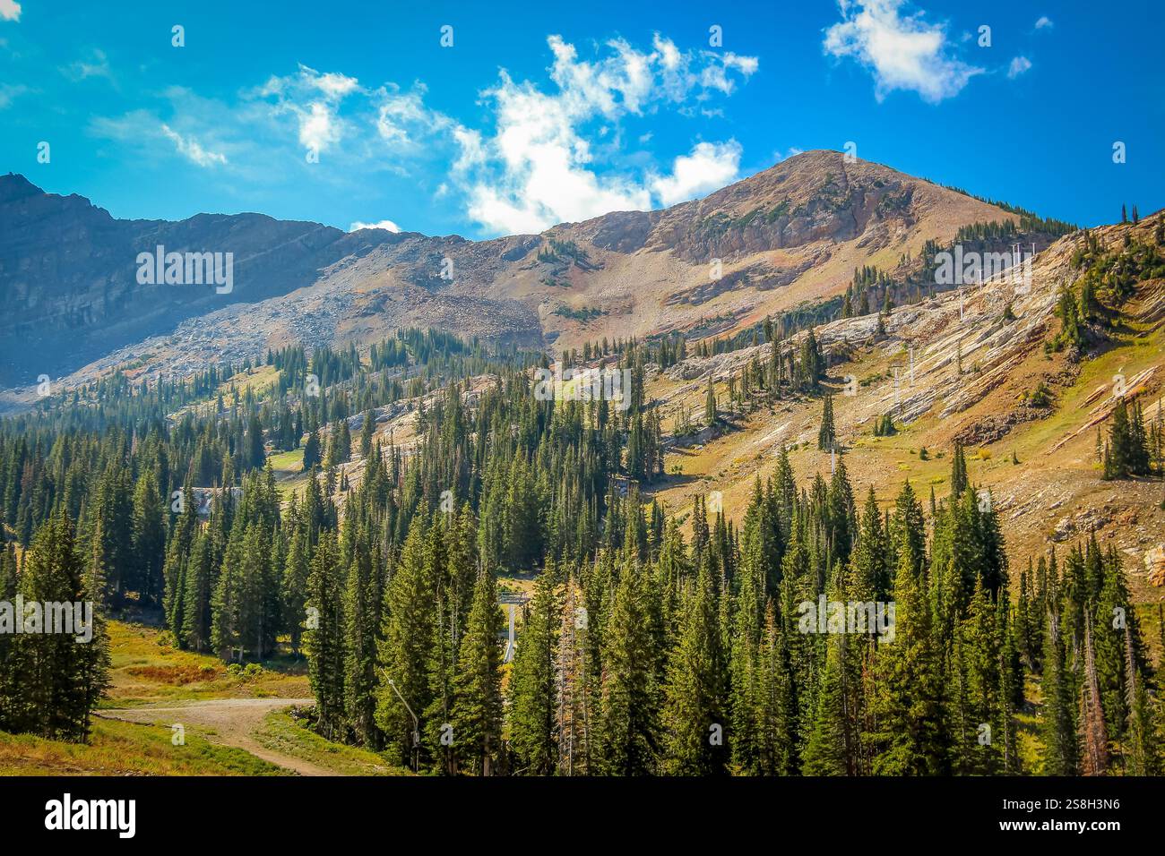 Mountains and sloping valley of trees Stock Photo - Alamy