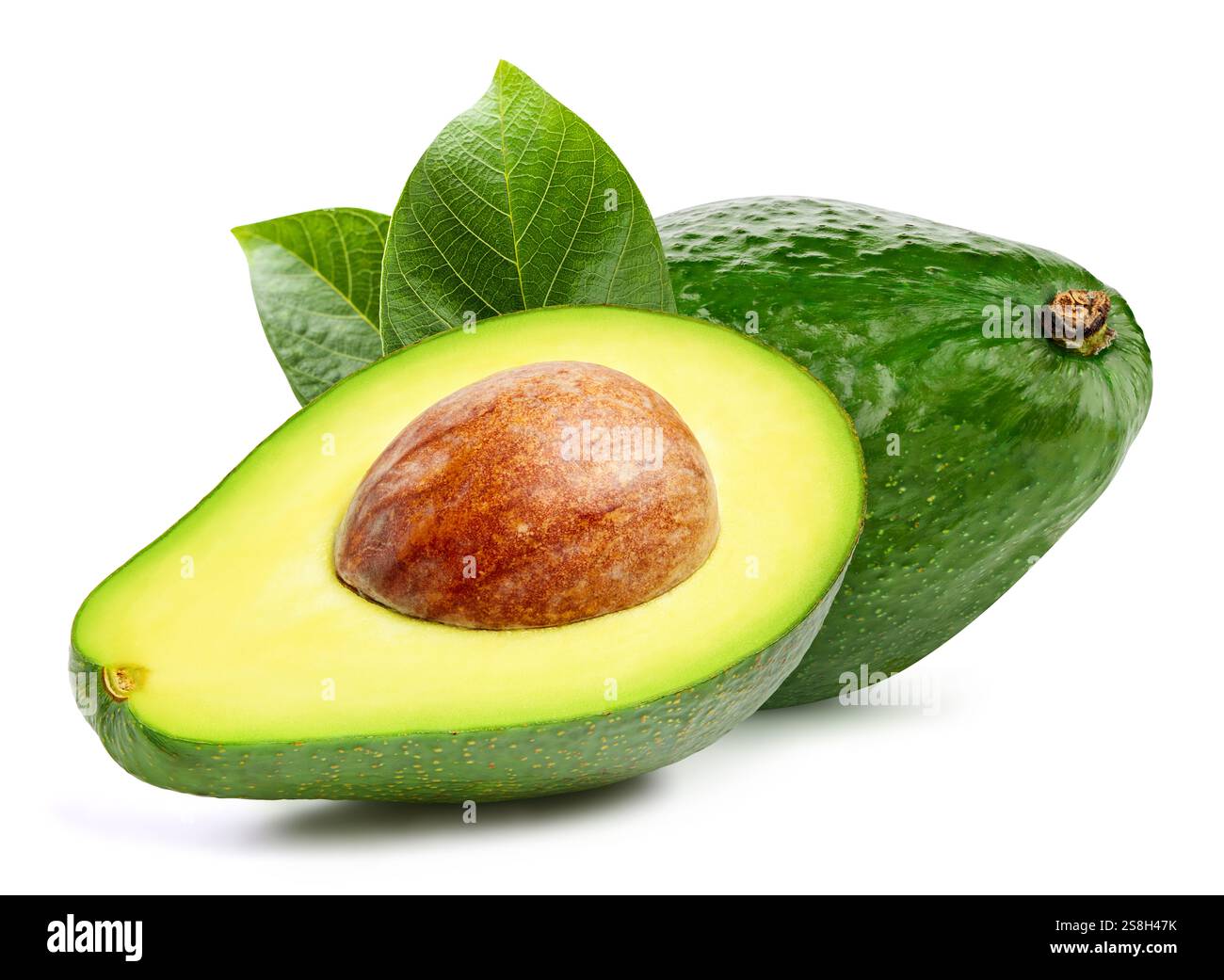 Isolated avocado. Fresh organic avocado with leaves isolated clipping ...