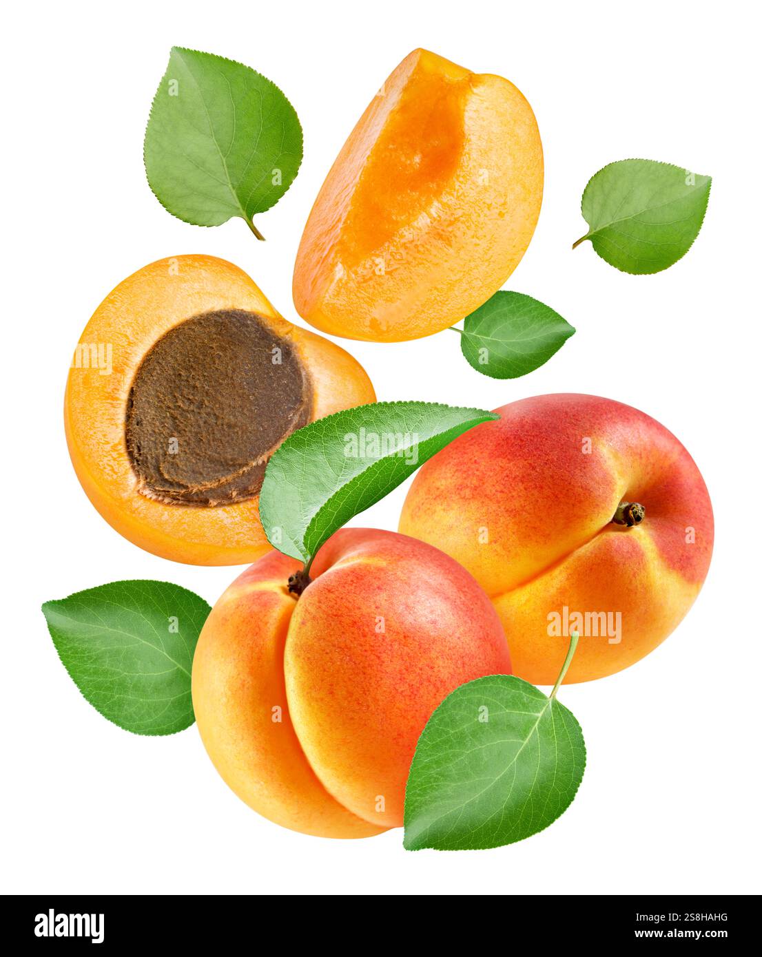 Apricot fruit with apricot leaf isolated on white background. Flying ...