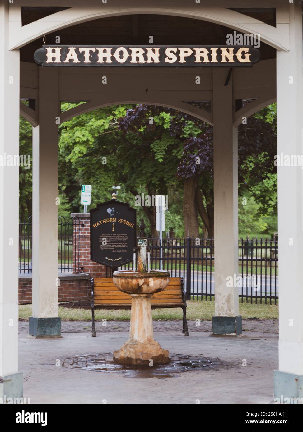 Hawthorne Spring Mineral Healing Water Fountain Saratoga Springs New ...