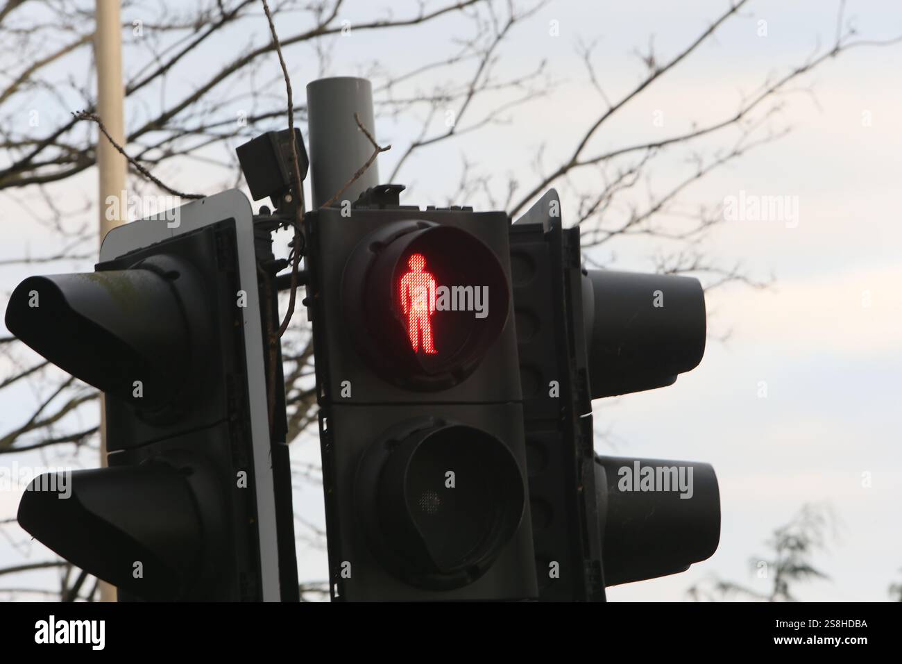 Dublin, Ireland - 19th January 2025 - A pedestrian traffic light at red ...