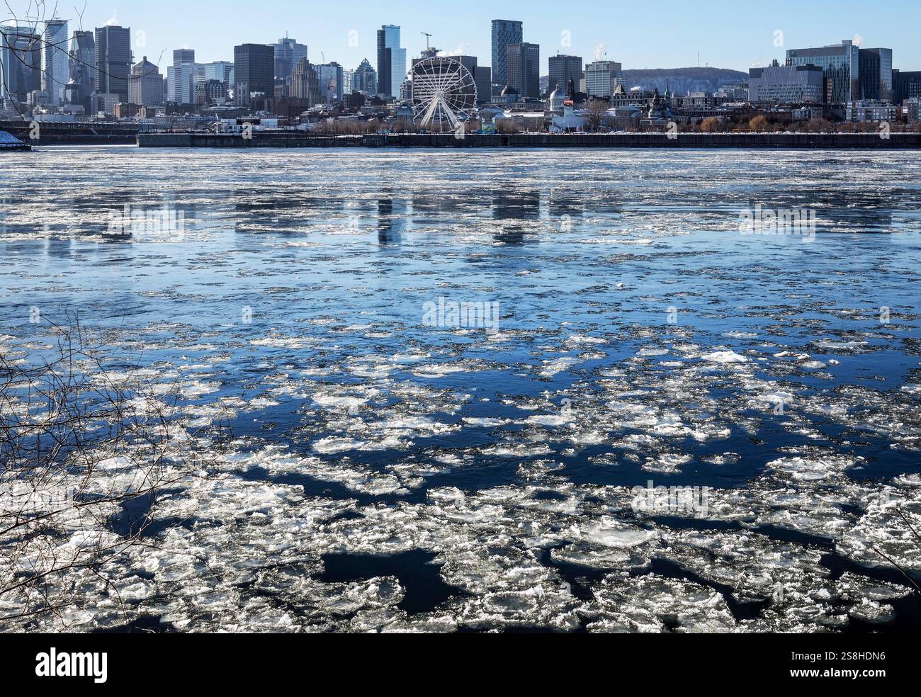 Montreal, Quebec, Canada. 22nd Jan, 2025. At the beginning of the week ...