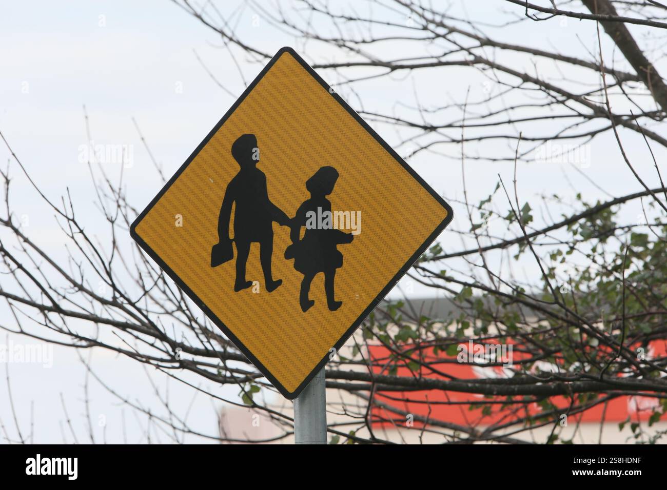 Dublin, Ireland - 19th January 2025 - yellow 'Children Crossing' road ...