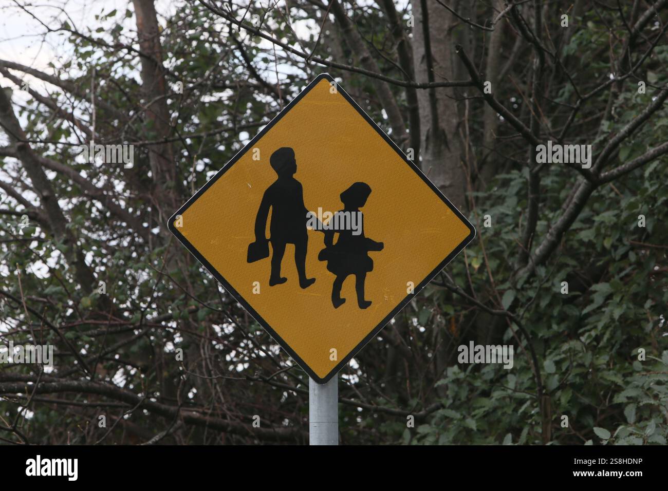 Dublin, Ireland - 19th January 2025 - yellow 'Children Crossing' road ...