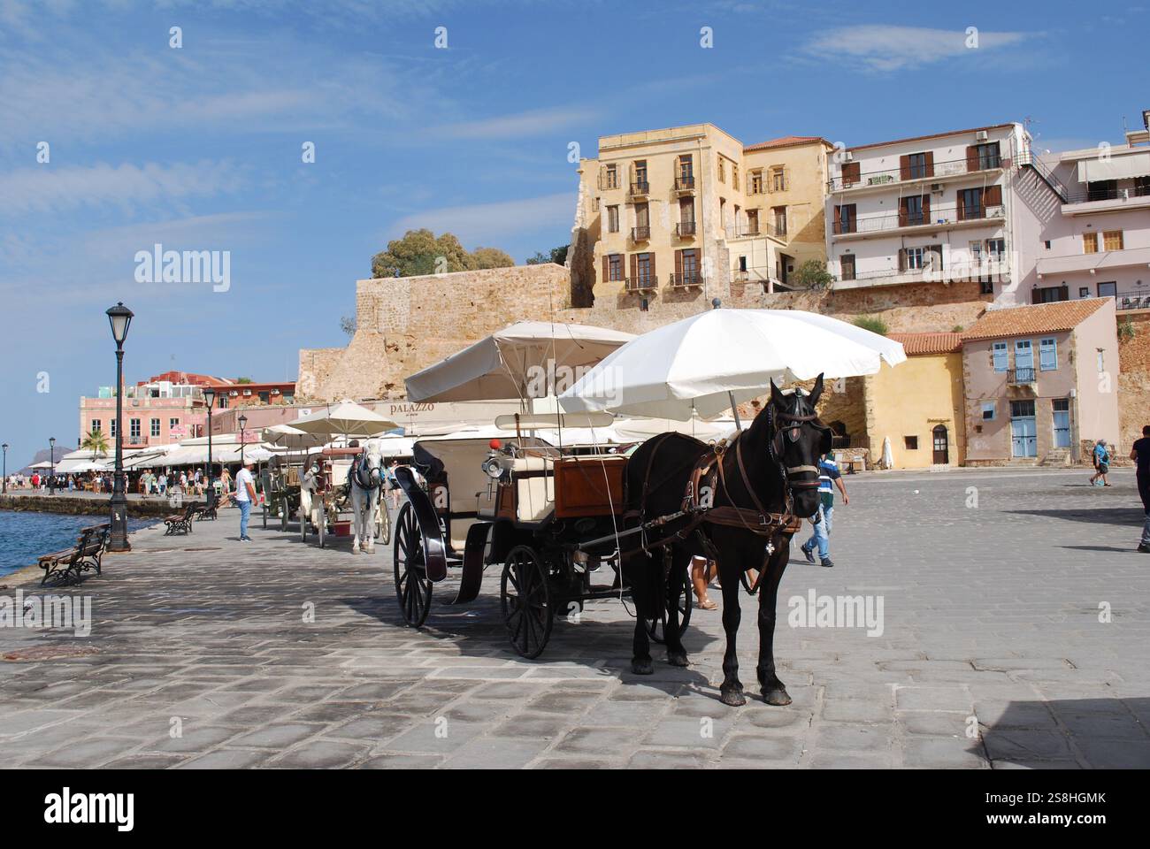 Sea horse carriage hi-res stock photography and images - Alamy