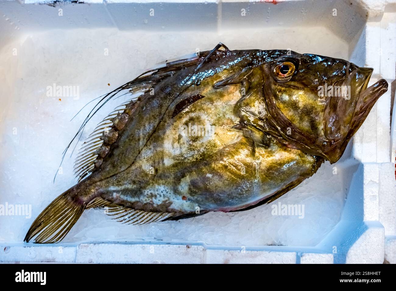 individual fish at a street market and fish market, Alghero, Europe ...