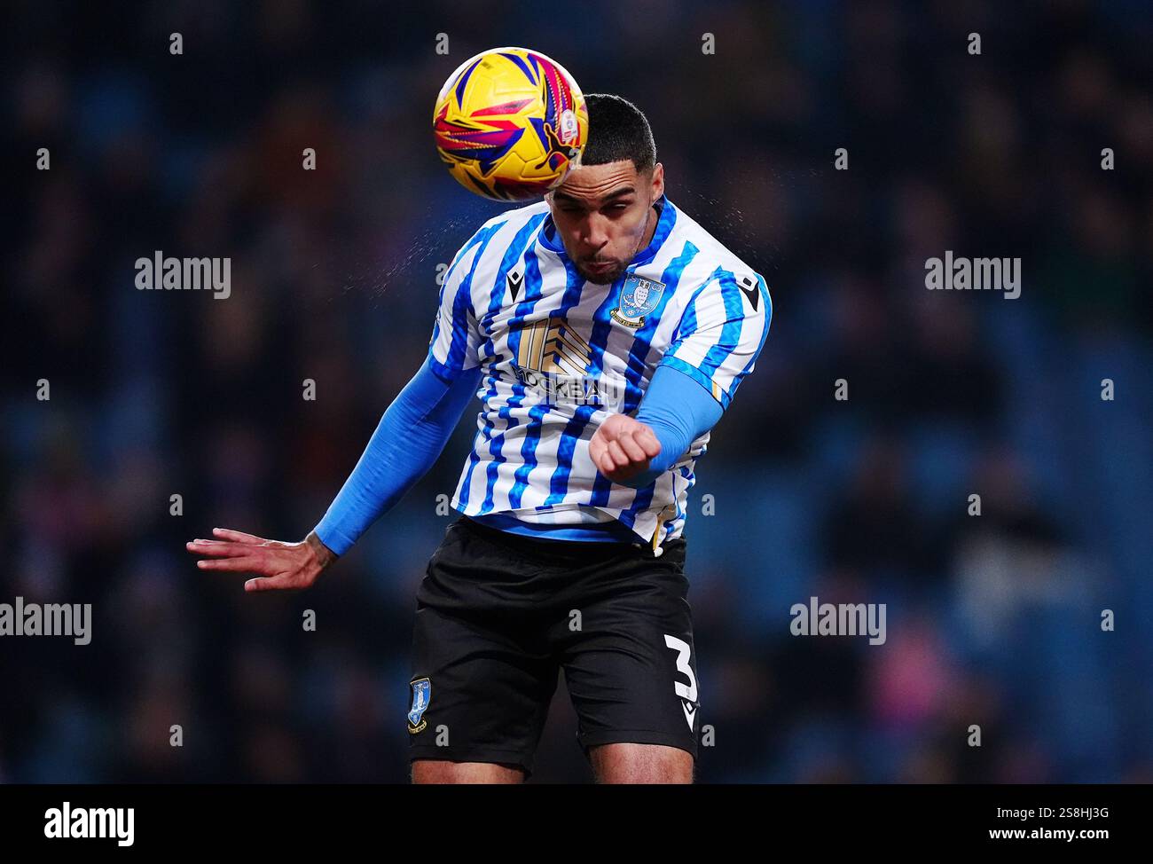Sheffield Wednesday's Max Lowe during the Sky Bet Championship match at ...