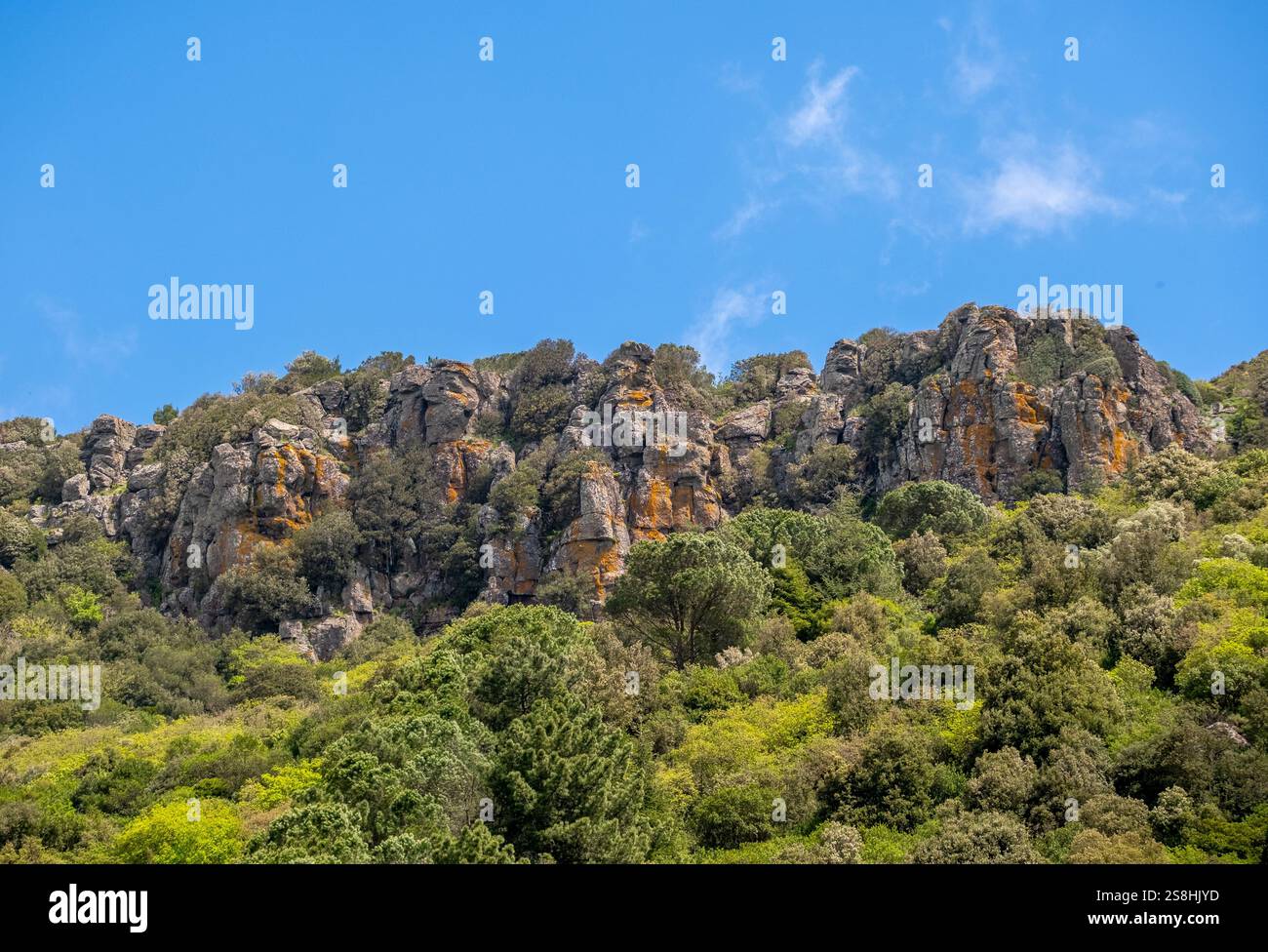 Monteleone Rocca Doria, volcanic mountain and rocks with forest, quarry ...