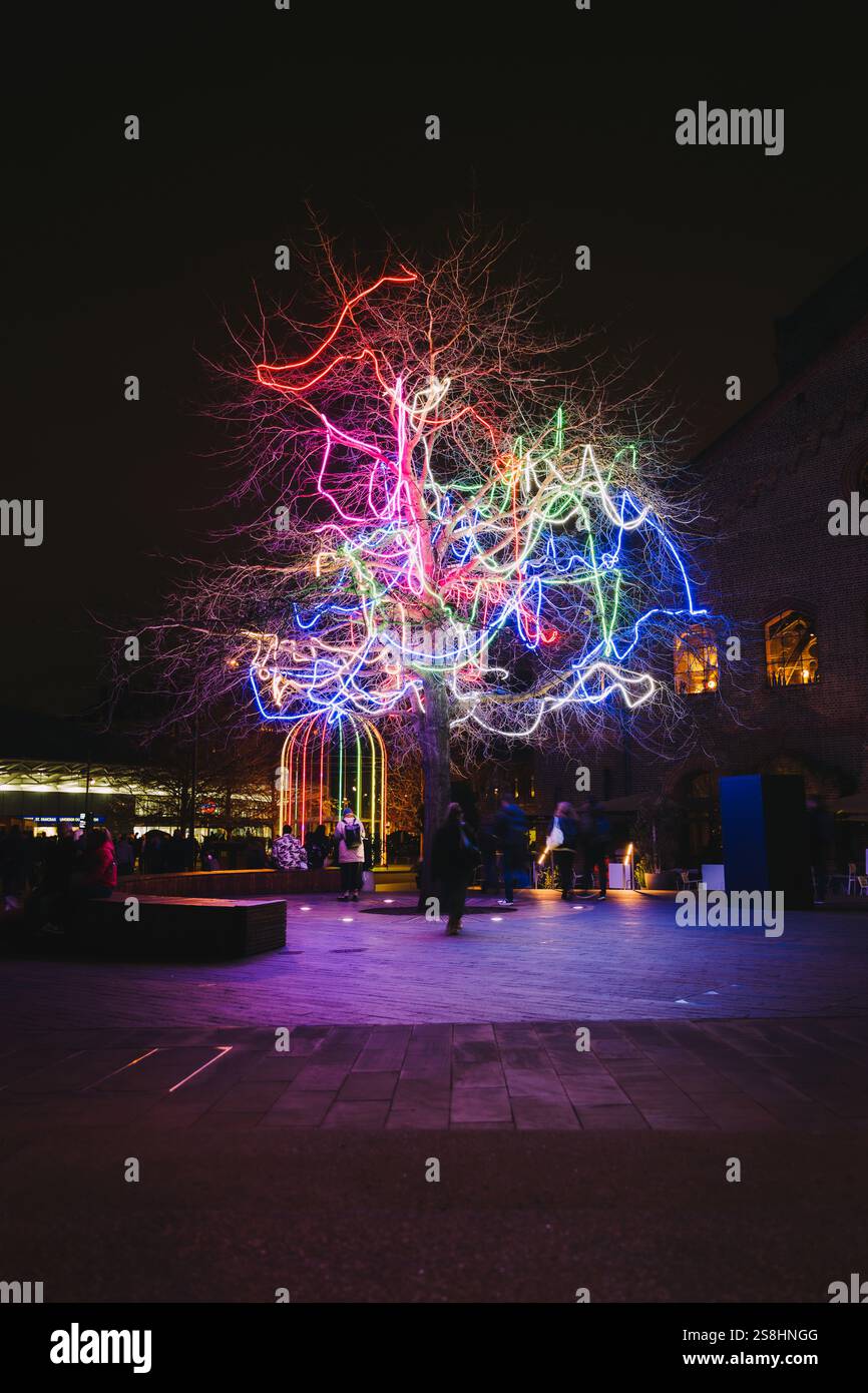 Illuminated Tree Installation with Colorful Neon Lights in a Night time ...