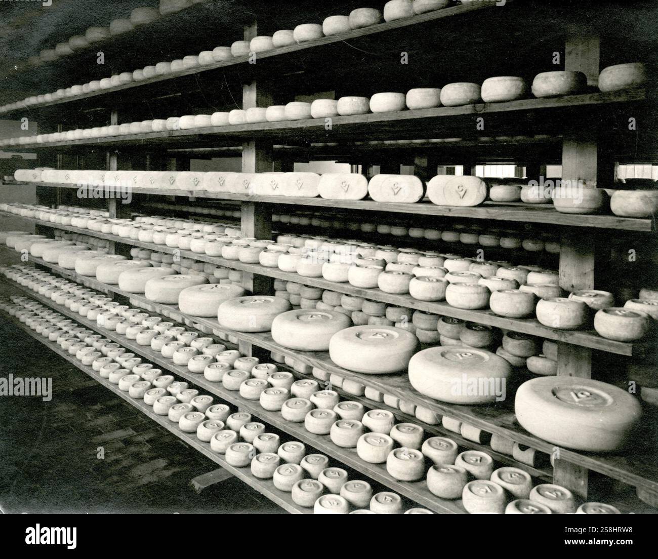 Cheese rack in the cheese factory Oud Holland in Bodegraven, part of ...
