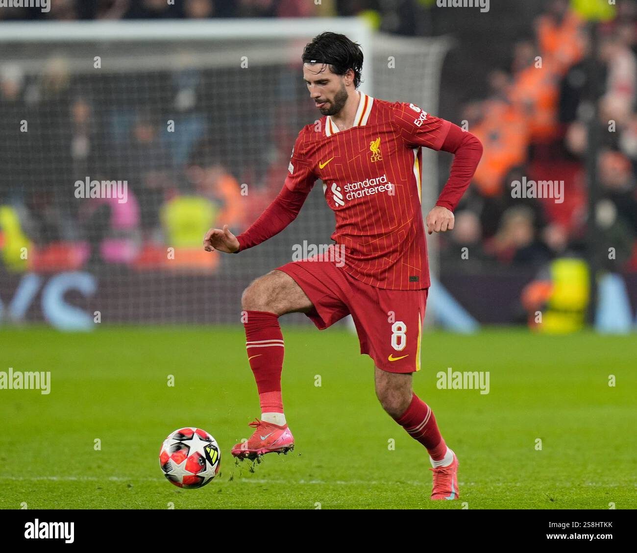 Anfield, Liverpool, Merseyside, UK. 21st Jan, 2025. Champions League ...