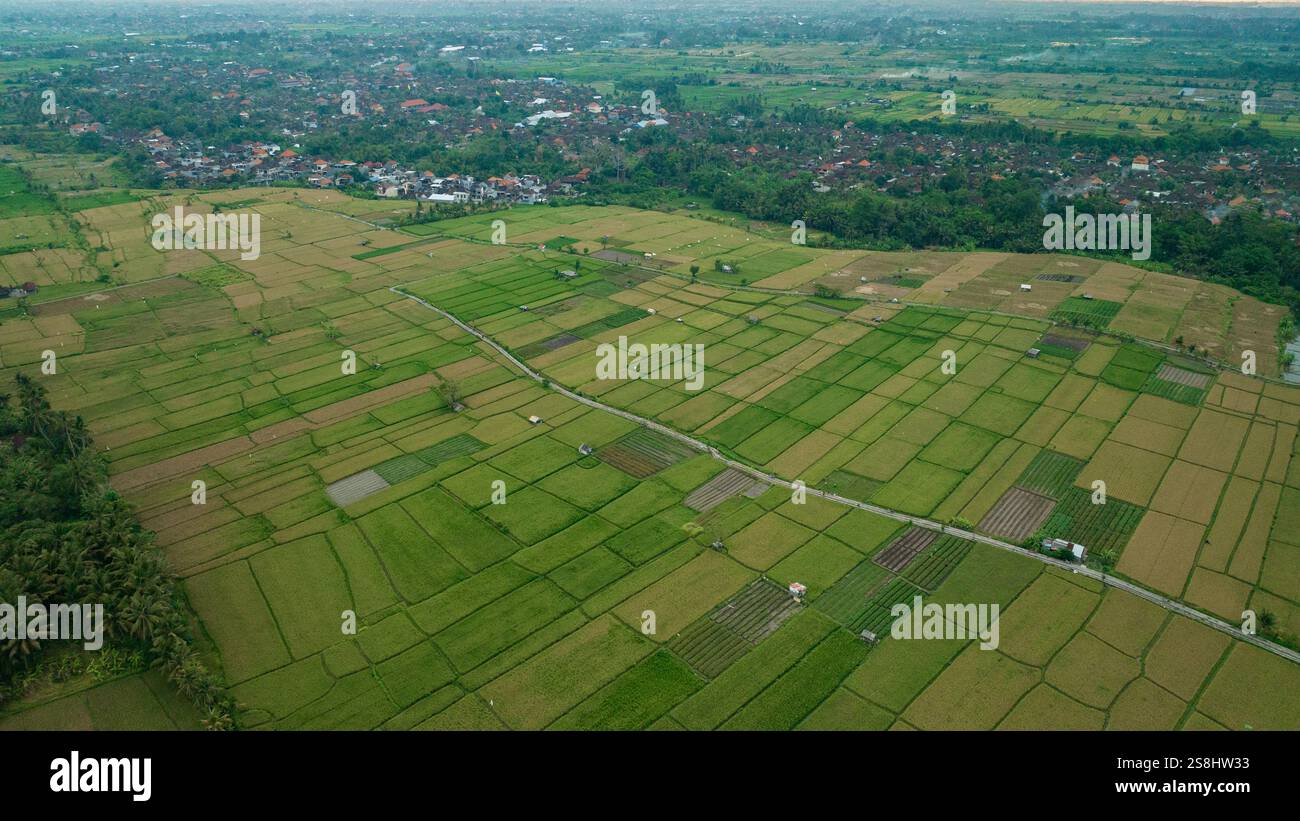 Rice Terrace, Ubud, Bali, Indonesia. Top view Stock Photo - Alamy