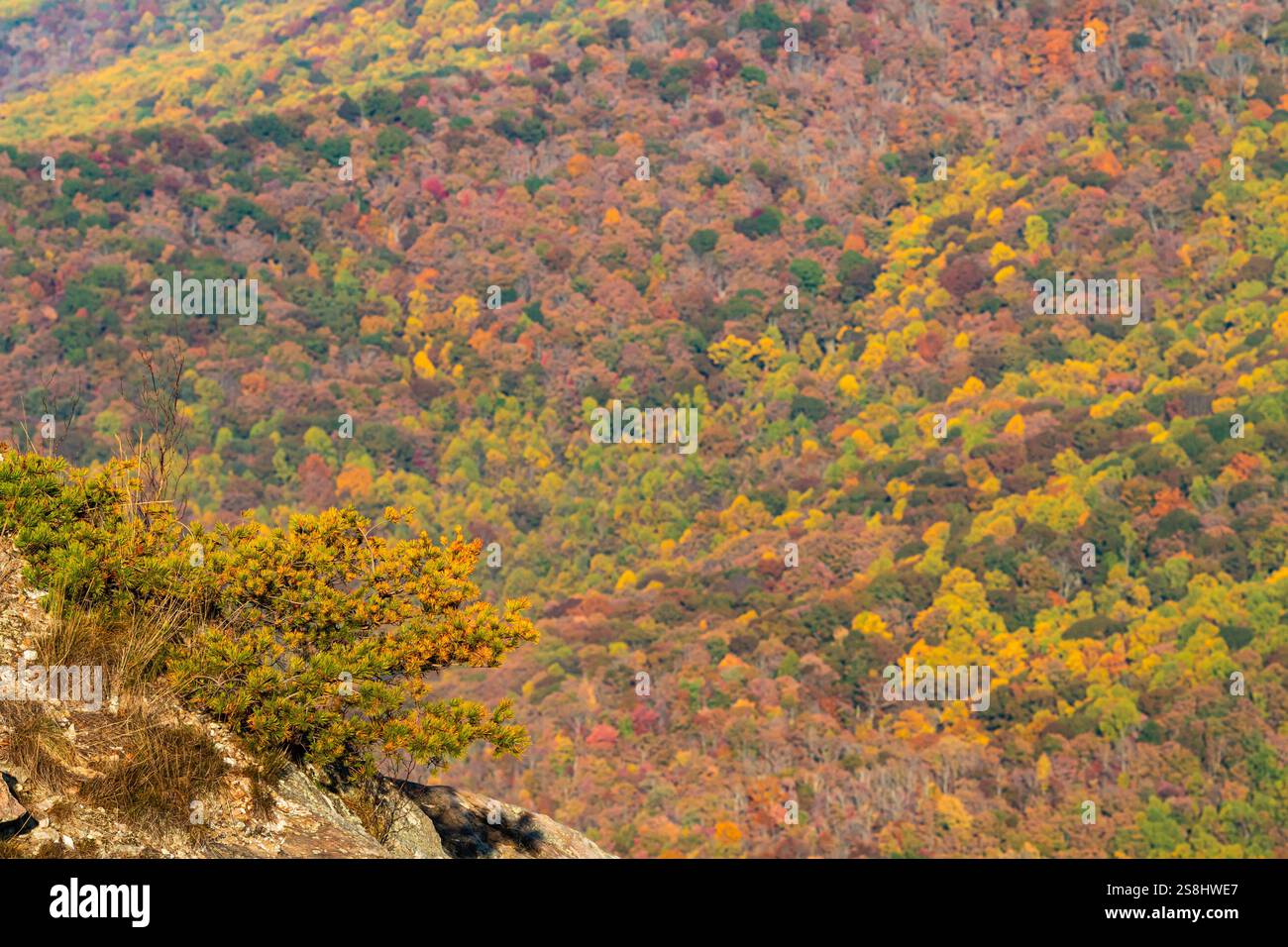A landscape shot showcases the pretty fall colors and foliage of the ...