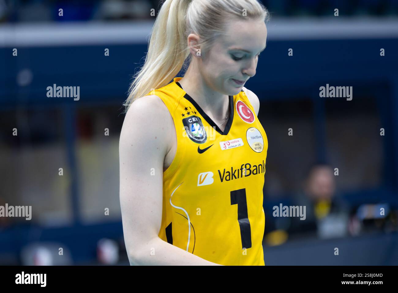 Milan, Italy. 22nd Jan, 2025. Alexandra Annelise Frantti (VakifBank ...