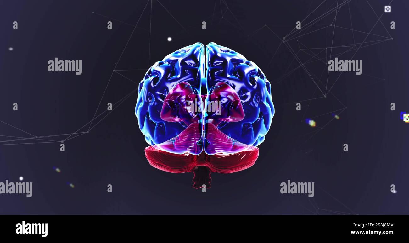 Image of spinning brain over shapes Stock Photo - Alamy