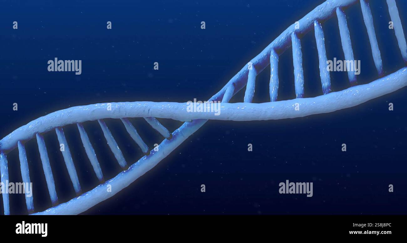 Image of dna strand spinning over blue background Stock Photo - Alamy