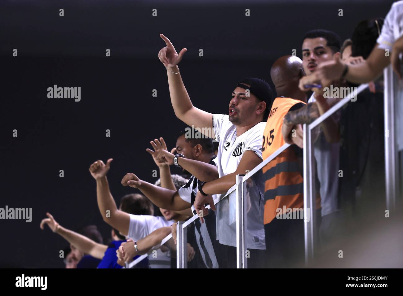 SP - SANTOS - 01/22/2025 - PAULISTA 2025, SANTOS x PALMEIRAS - Santos ...