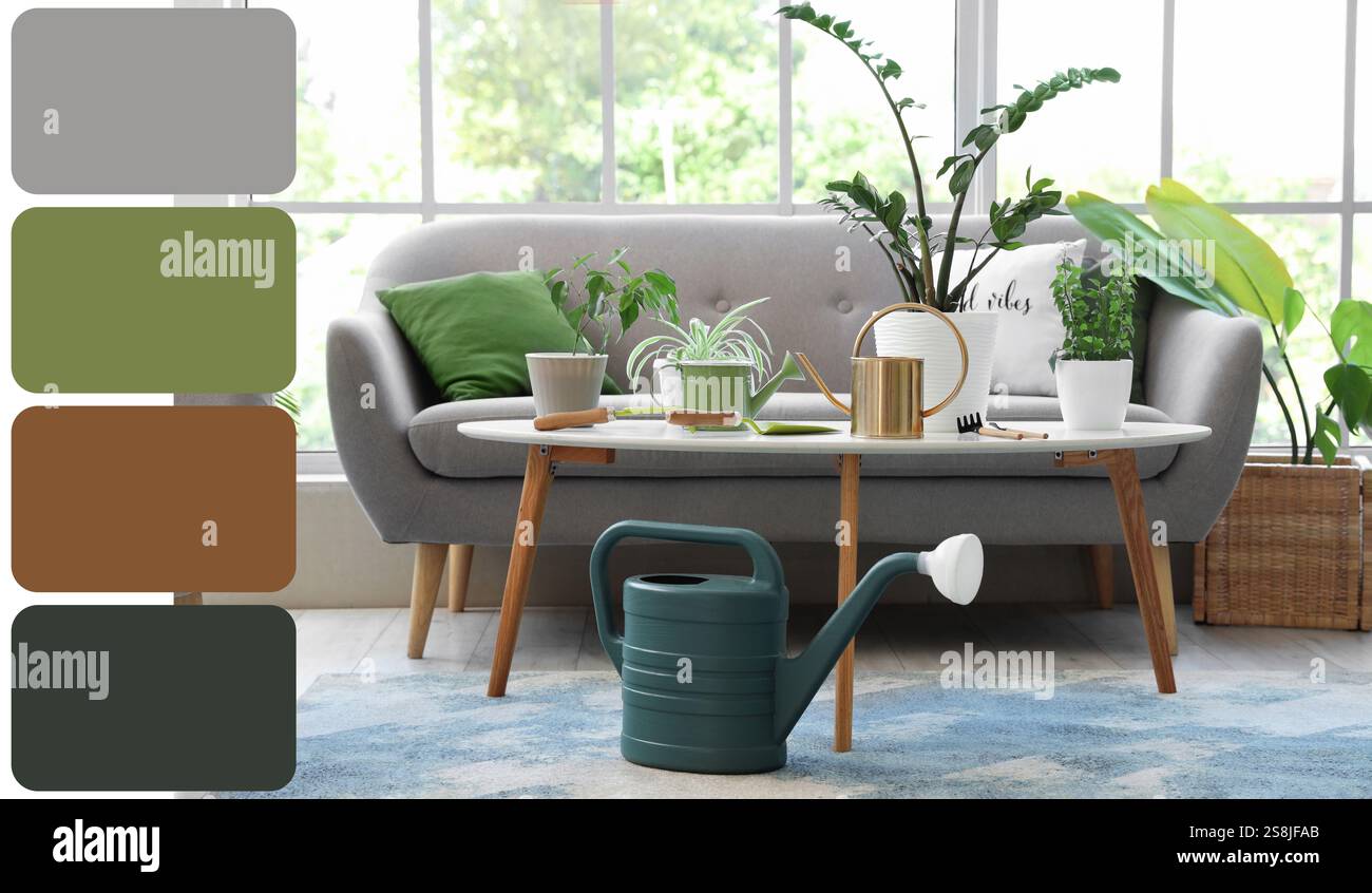 Plants with gardening tools on table in light living room. Different ...
