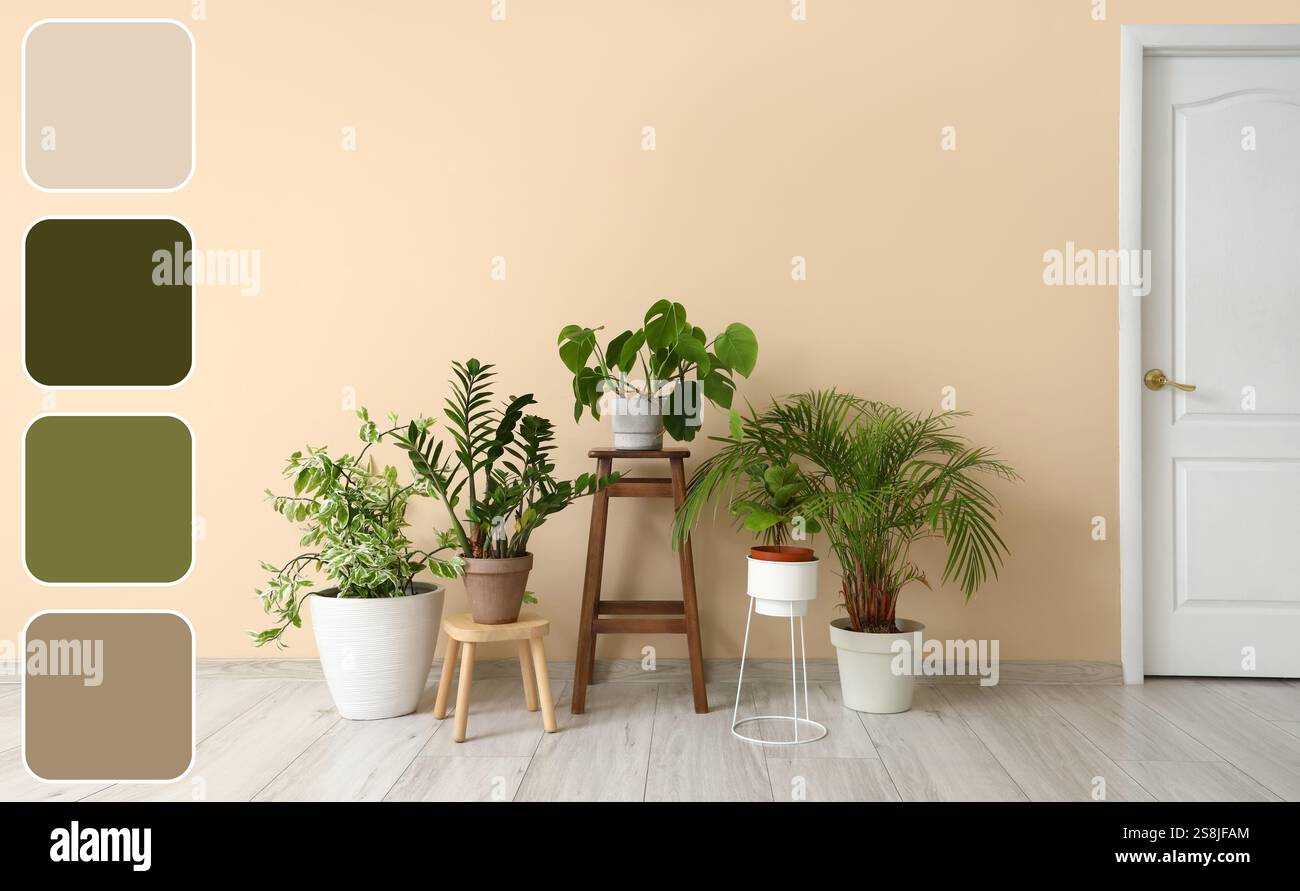 Stools with green plants near beige wall in room. Different color ...