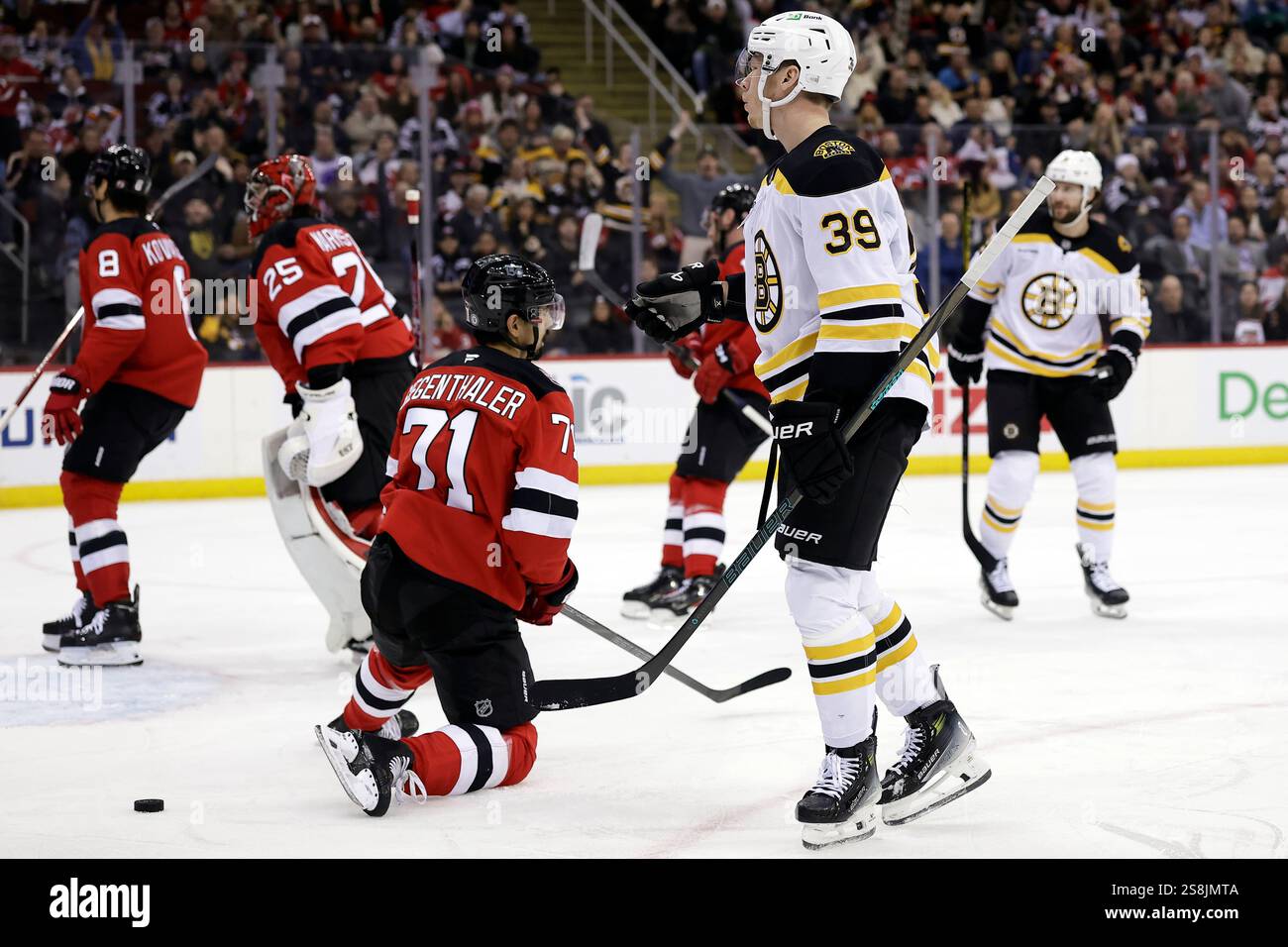 Boston Bruins center Morgan Geekie (39) reacts after scoring a goal ...