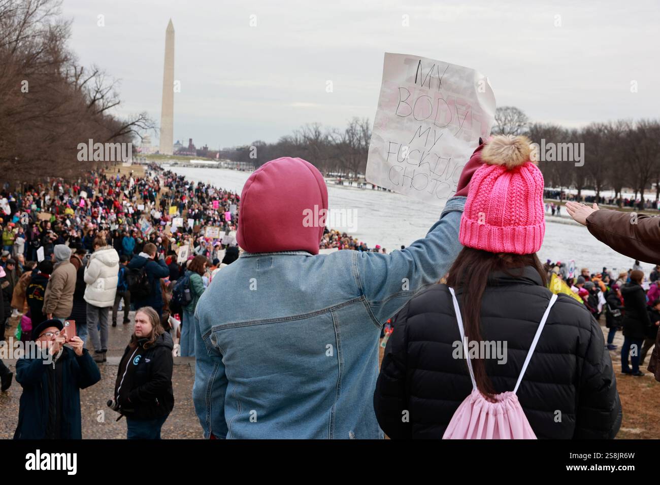 People's march on national mall hi-res stock photography and images - Alamy