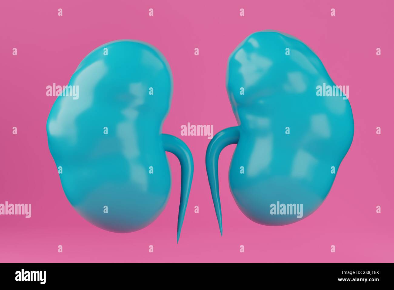 Blue Abstract Human Kidneys Anatomy Structure on a pink background. 3d ...
