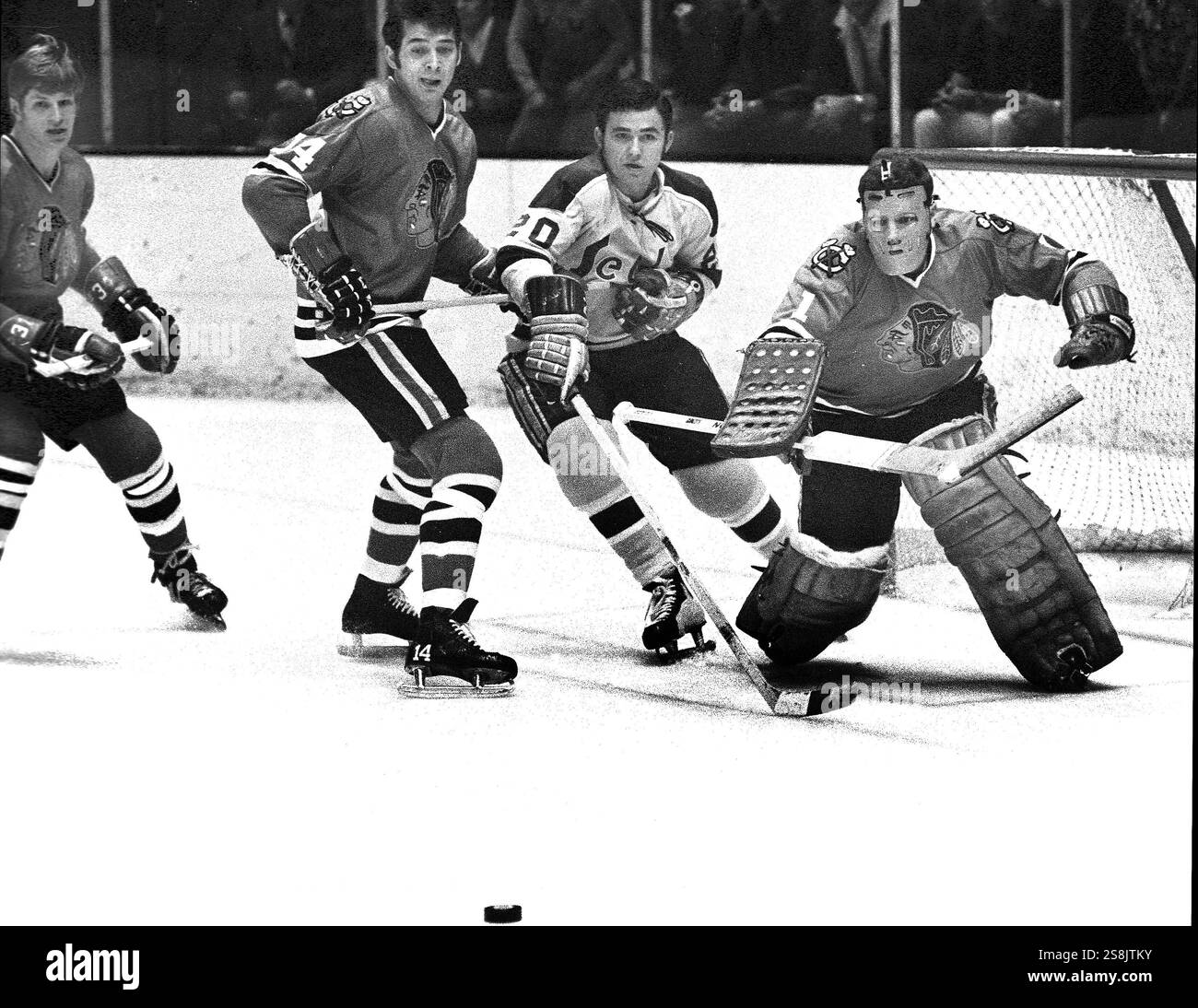 Chicago Black Hawks Seals Keith Magnuson, Bryan Campbell (4) and goalie ...