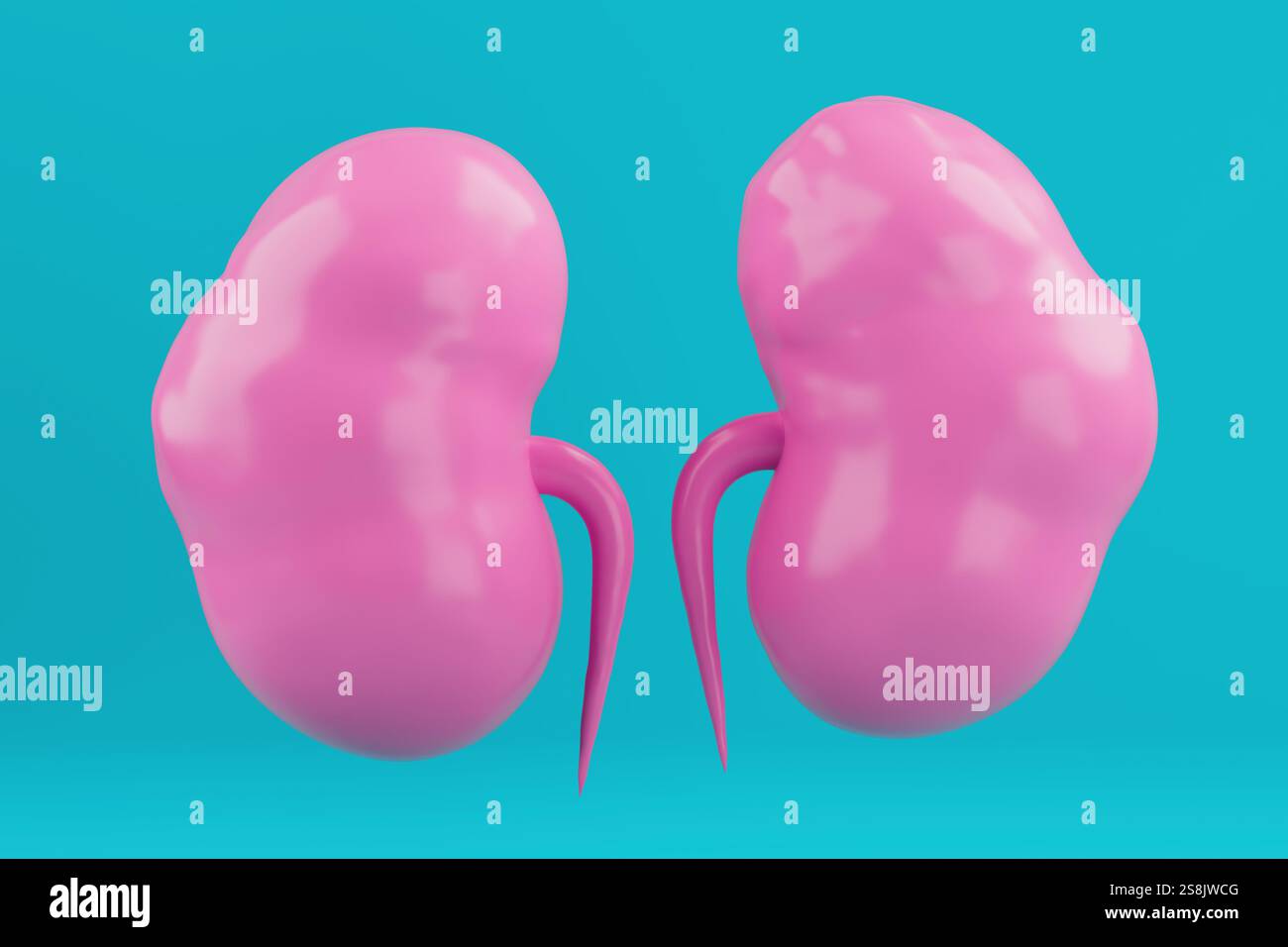 Pink Abstract Human Kidneys Anatomy Structure on a blue background. 3d ...