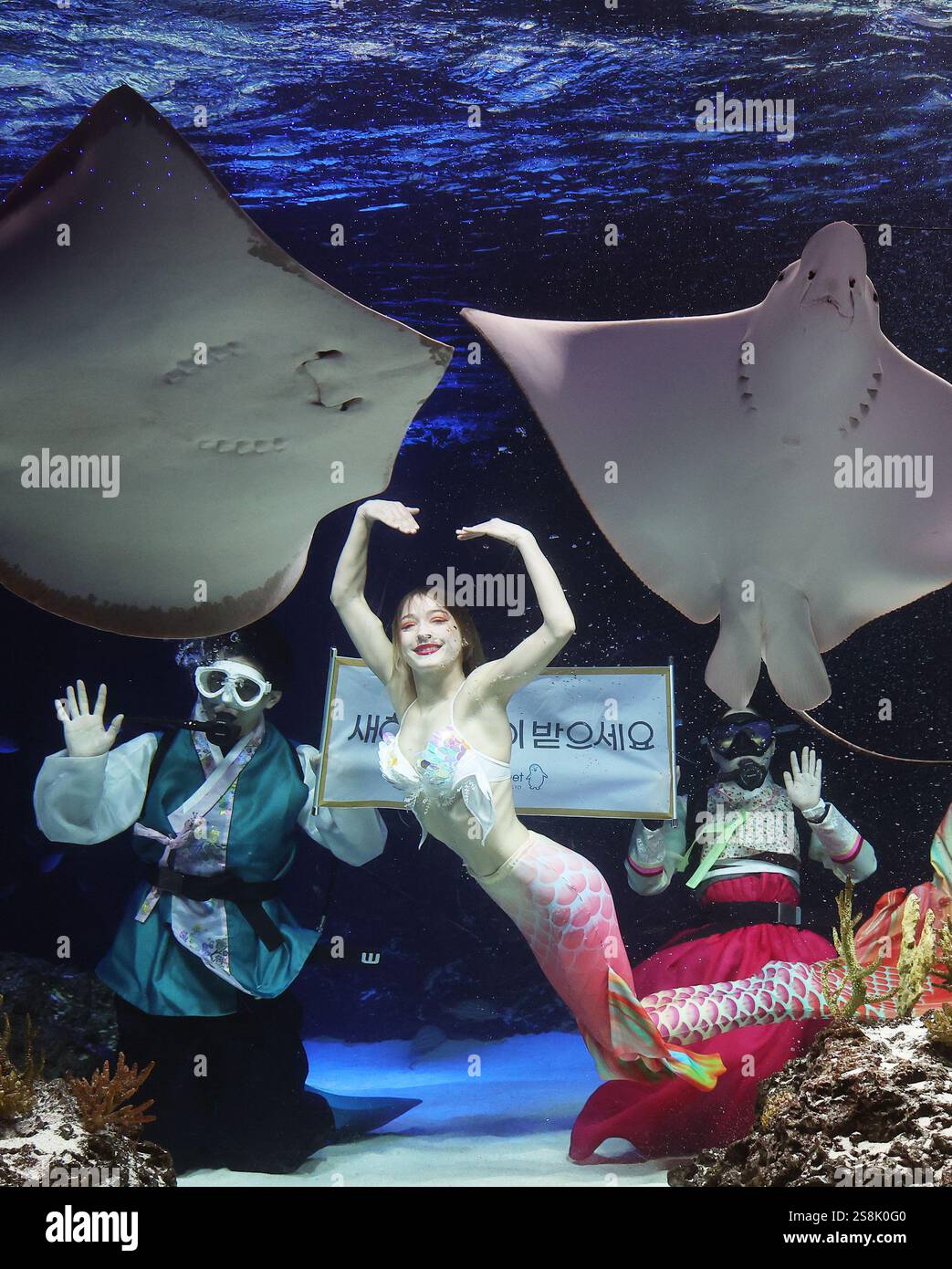 Underwater performance ahead of holiday Three professional divers, two ...