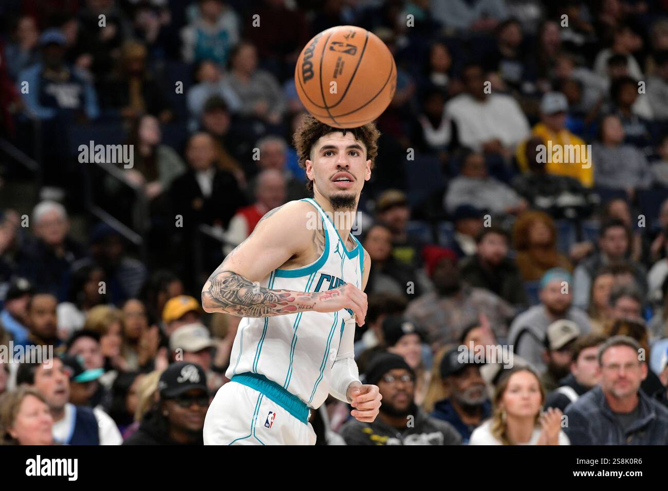 Charlotte Hornets guard LaMelo Ball plays in the first half of an NBA ...