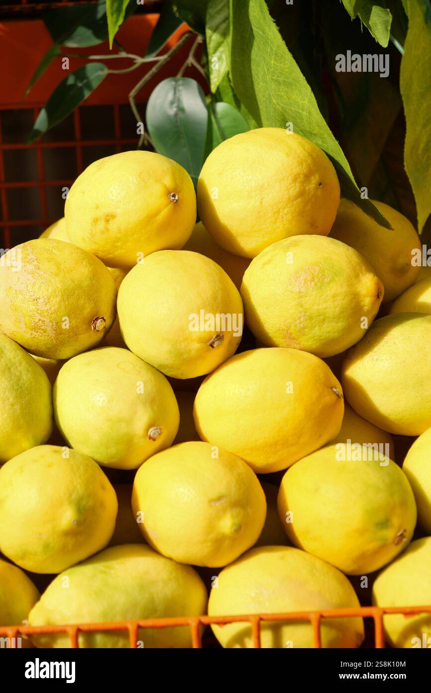 Lemon selling in supermarkets in istanbul Stock Photo - Alamy