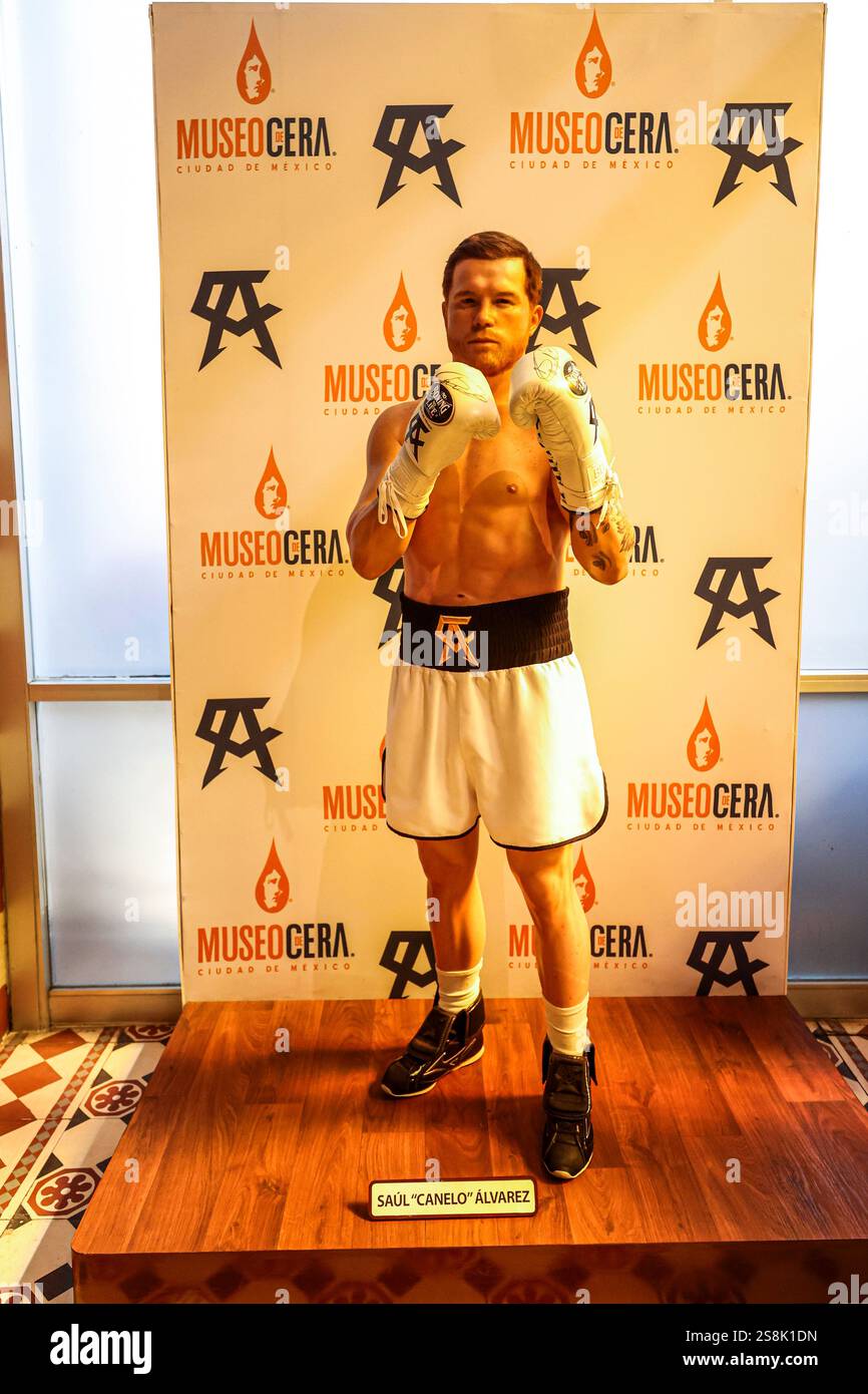 Saúl Álvarez , CANELO Wax museum in Mexico City CDMX. It exhibits ...