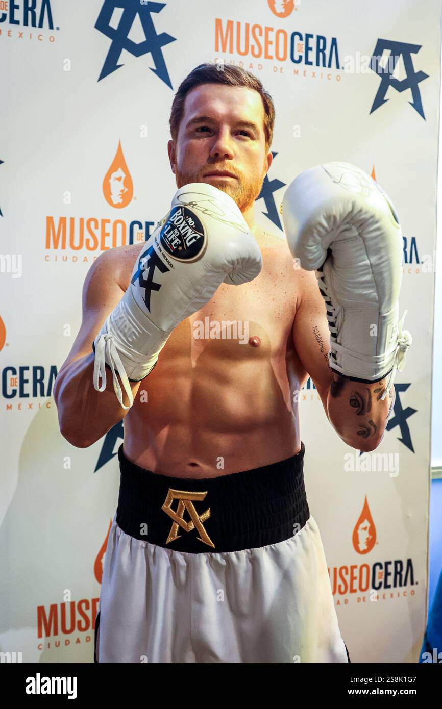 Saúl Álvarez , CANELO Wax museum in Mexico City CDMX. It exhibits ...