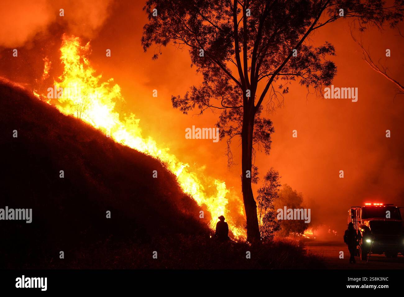 A firefighter with a drip torch watches the Hughes Fire burning along a ...