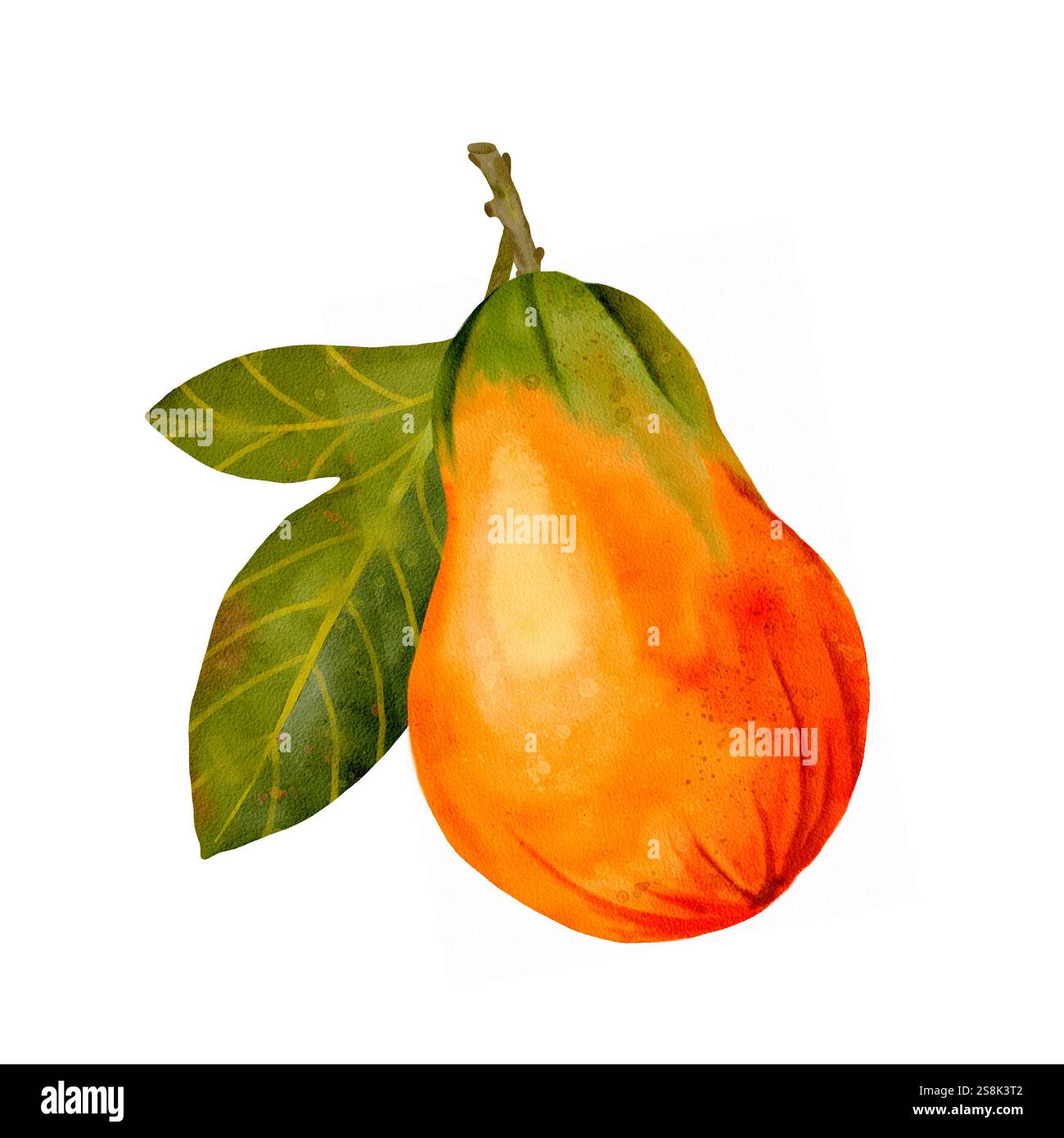 This captivating artwork features a stunning and vibrant watercolor ...