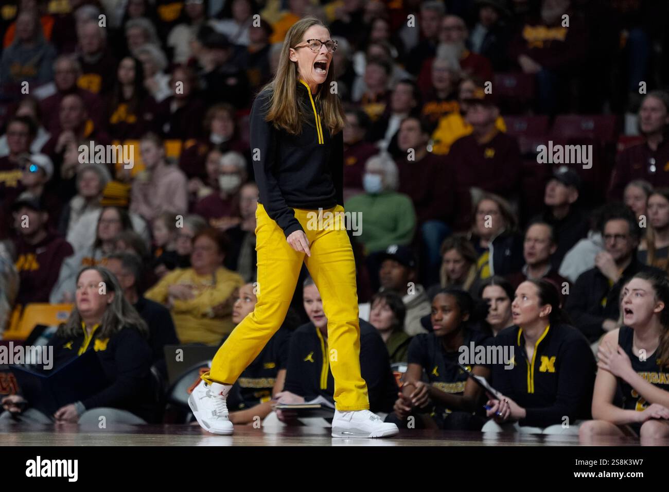 Michigan head coach Kim Barnes Arico yells during the second half of an ...