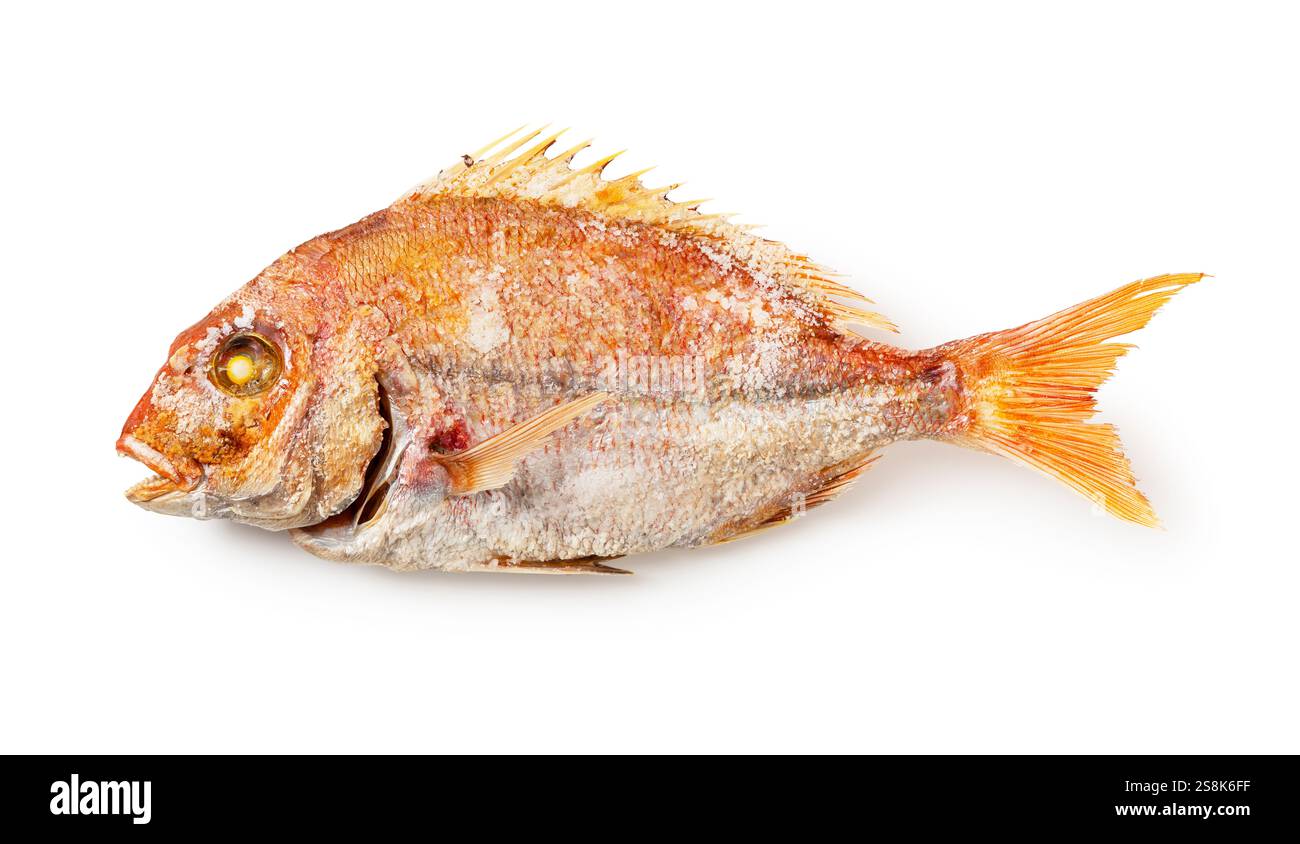 Traditional Japanese Grilled Tai Fish Isolated on White Background.View ...
