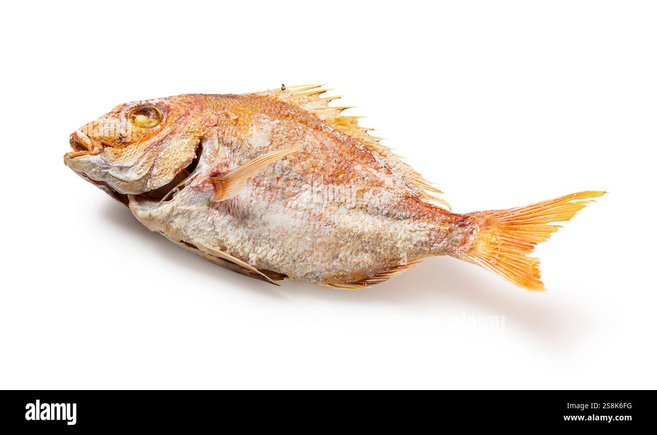 Traditional Japanese Grilled Tai Fish Isolated on White Background ...