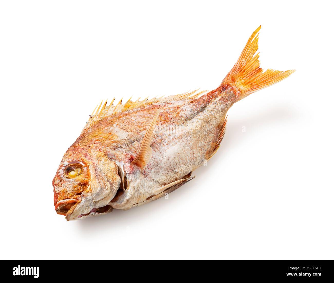 Traditional Japanese Grilled Tai Fish Isolated on White Background ...