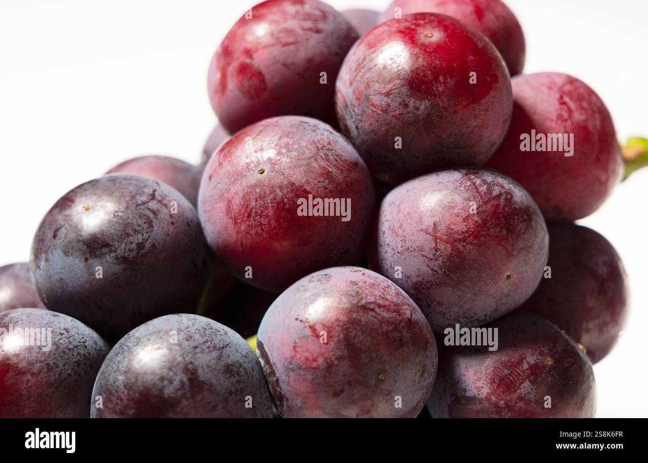 Macro Shot of Fresh Japanese Pione Grapes Isolated on White Background ...