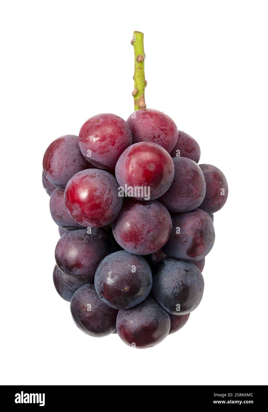 Fresh Japanese Pione Grapes Isolated on White Background.View from ...