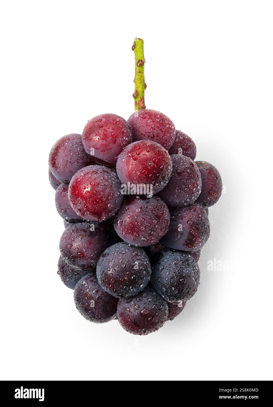 Fresh Japanese Pione Grapes Isolated on White Background.View from ...
