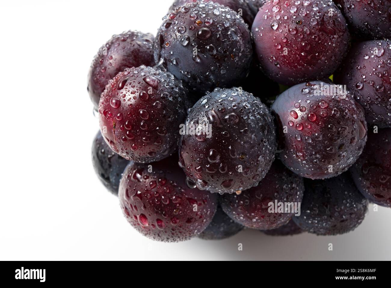 Macro Shot of Fresh Japanese Pione Grapes Isolated on White Background ...