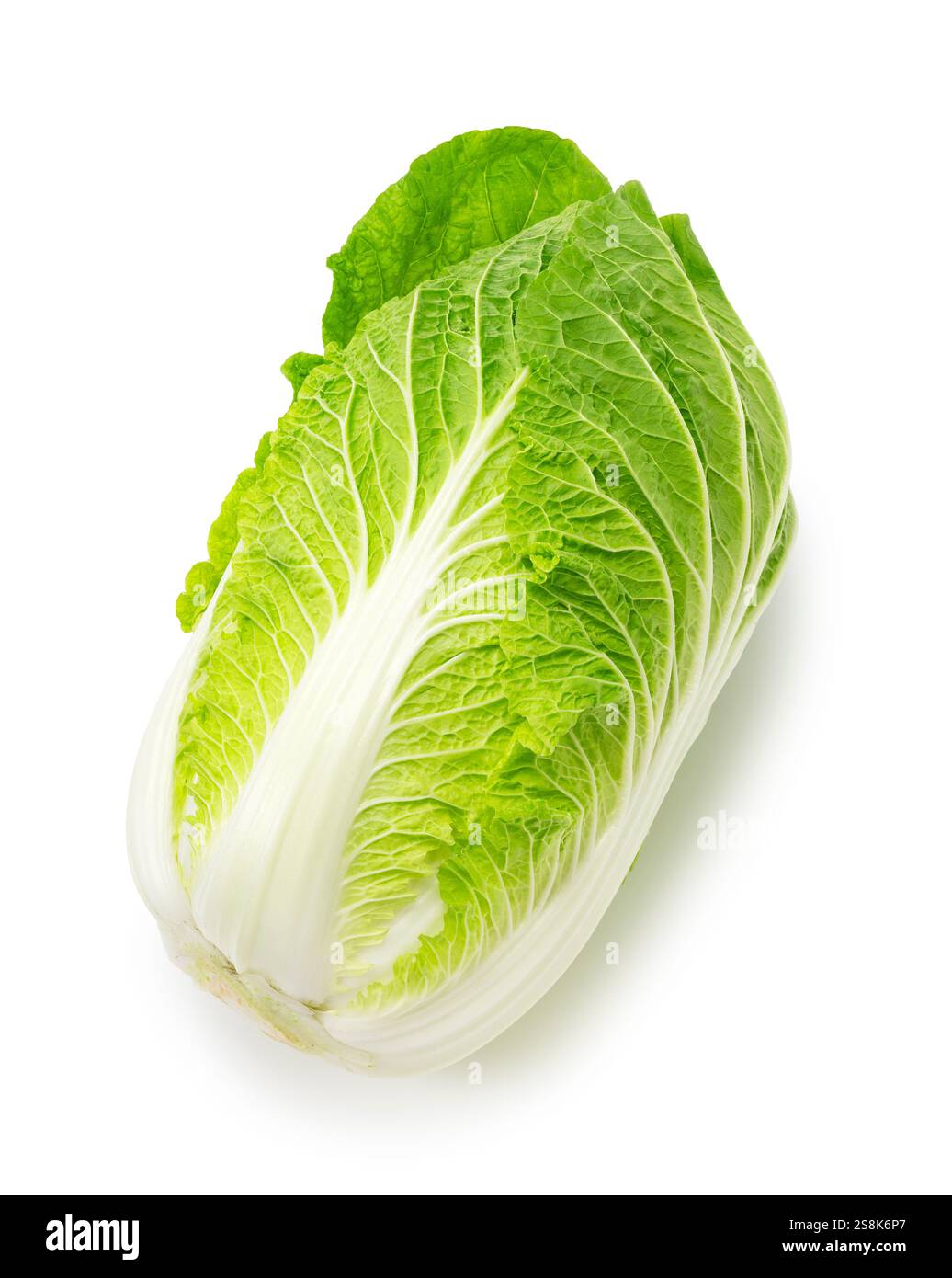 Fresh Chinese Cabbage Isolated on White Background Stock Photo - Alamy