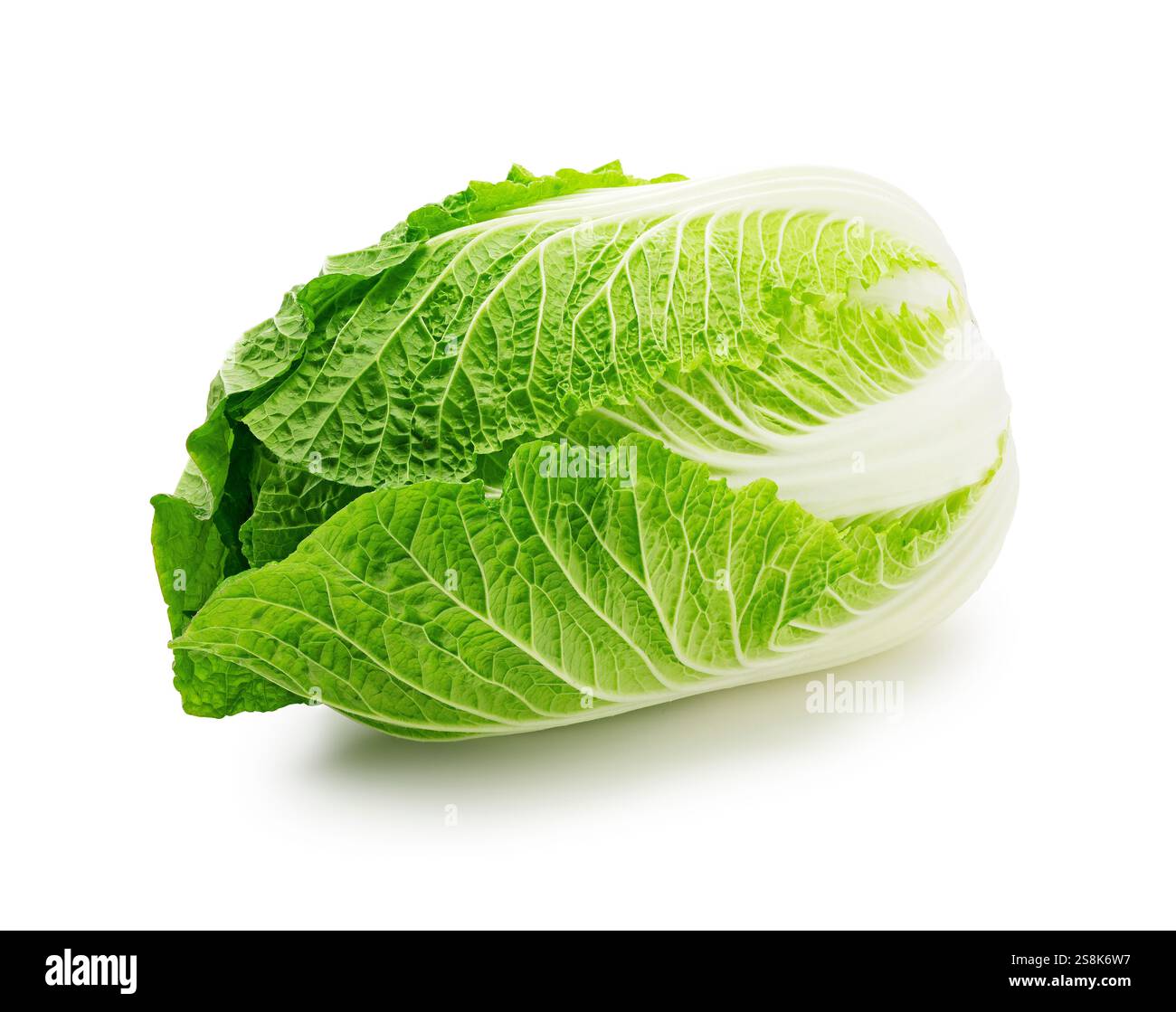 Fresh Chinese Cabbage Isolated on White Background Stock Photo - Alamy