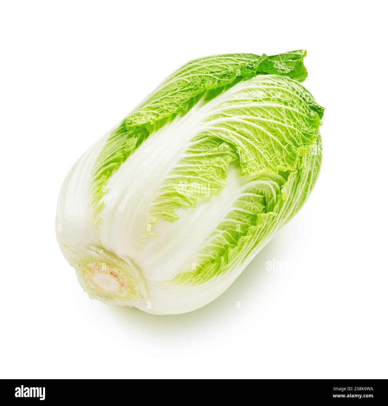Fresh Chinese Cabbage Isolated on White Background Stock Photo - Alamy