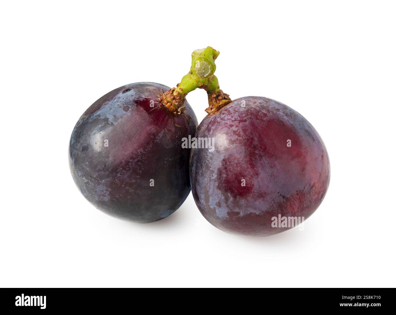 Fresh Japanese Pione Grapes Isolated on White Background Stock Photo ...
