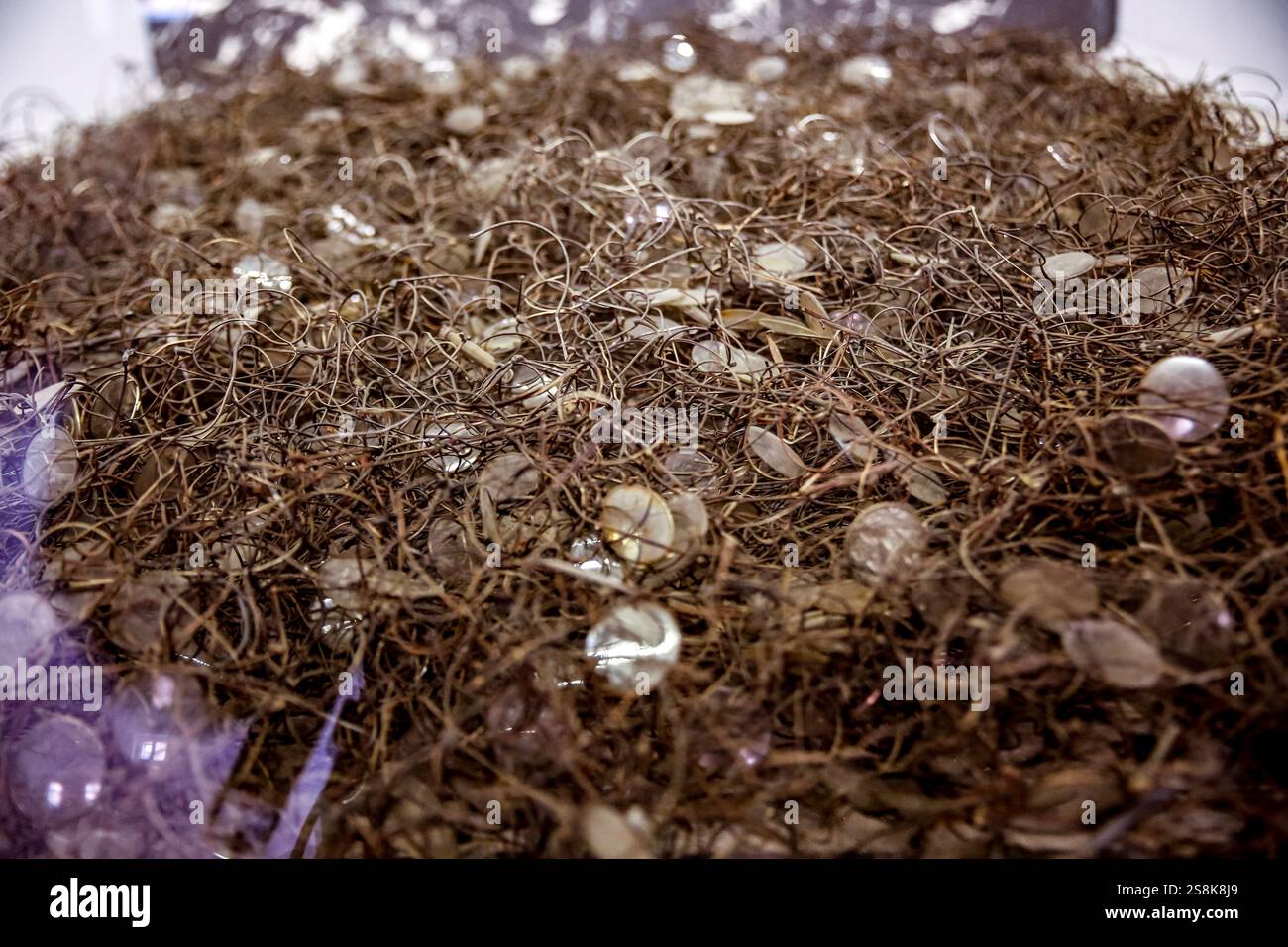 Oswiecim, Poland. 22nd Jan, 2025. Exhibition of prisoners eye glasses ...
