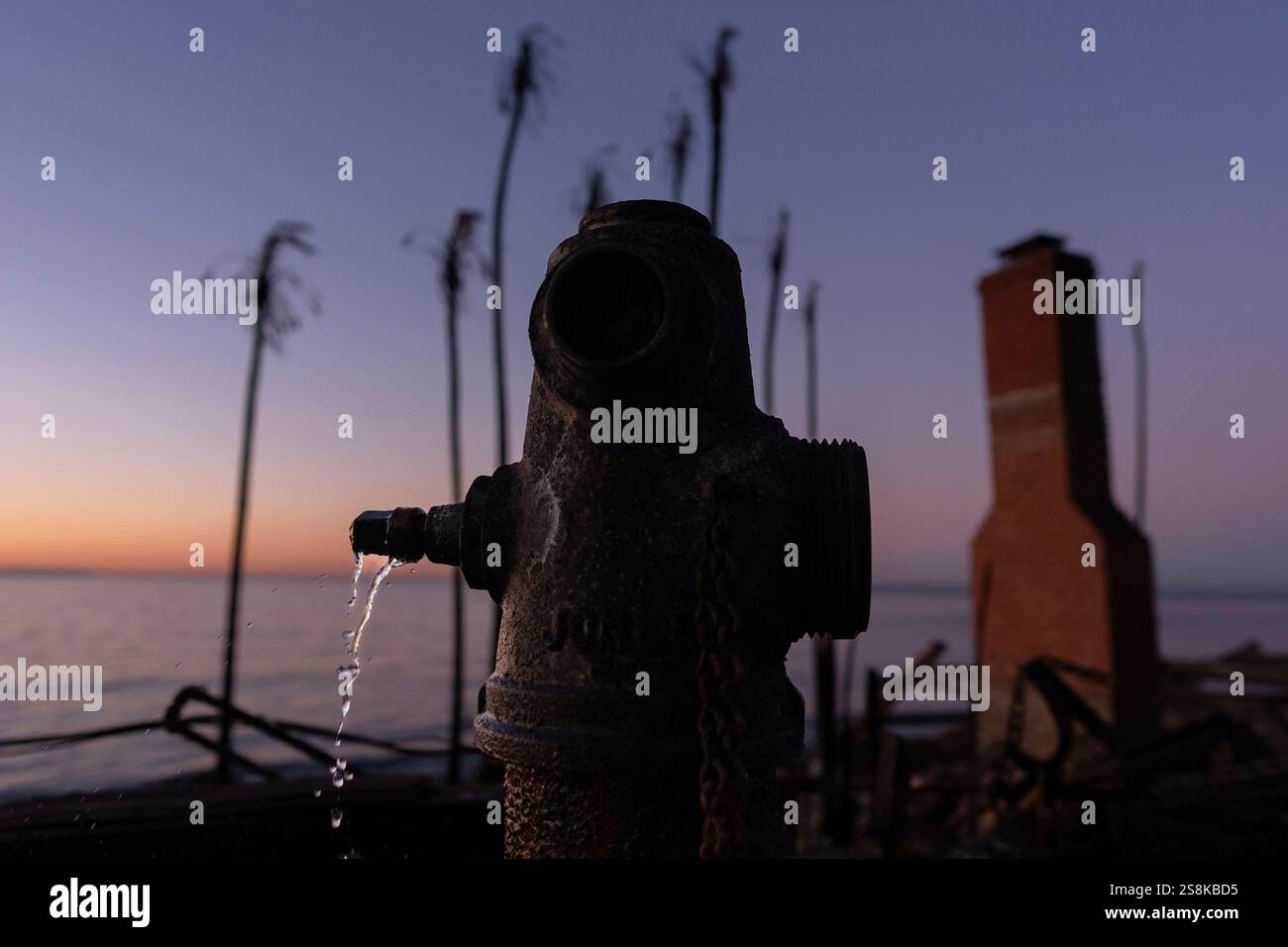 A burned fire hydrant drips water in front of charred trees and house ...